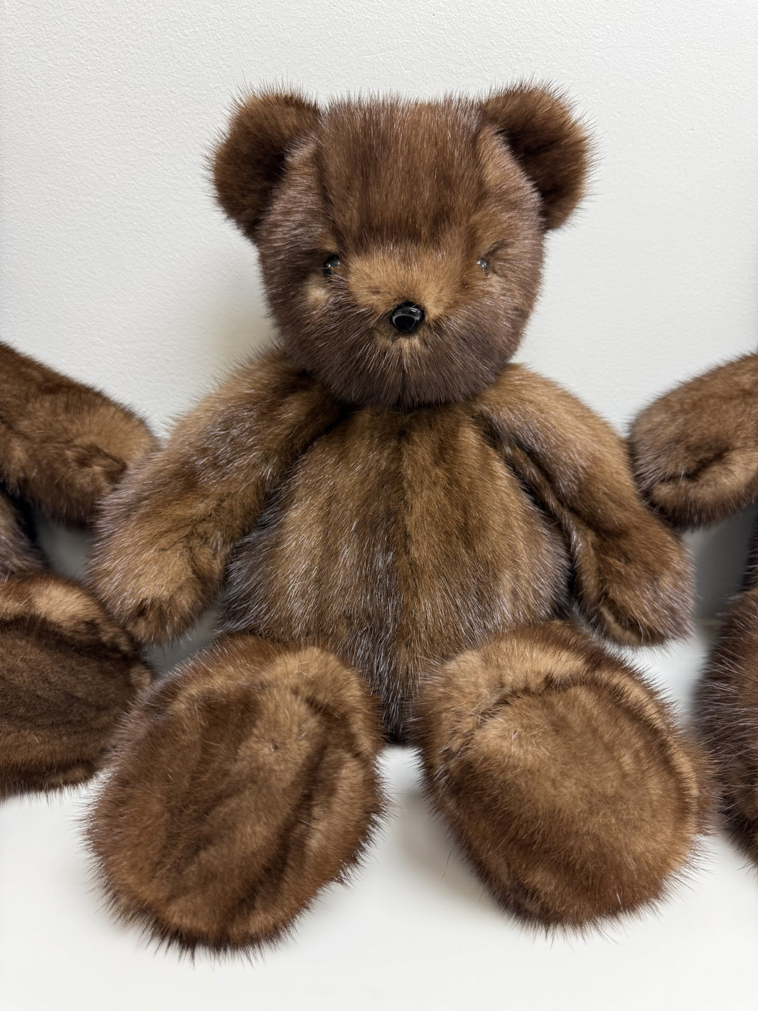 Teddy Bears – Fur The North