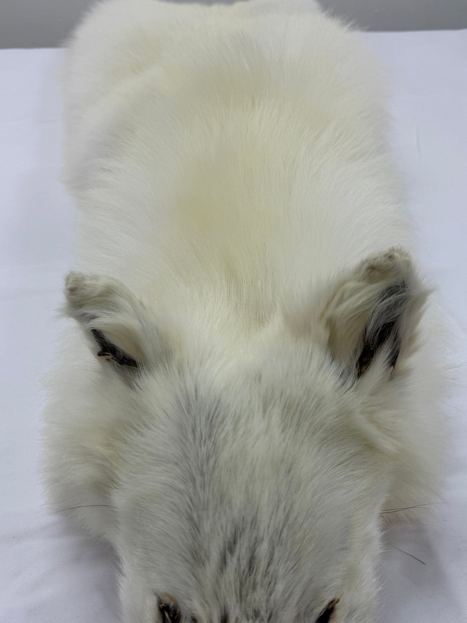 Products – Fur The North